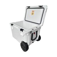 Quality Hot Sale Plastic in Stocks Large Size Locking Ice Cooler Box for sale