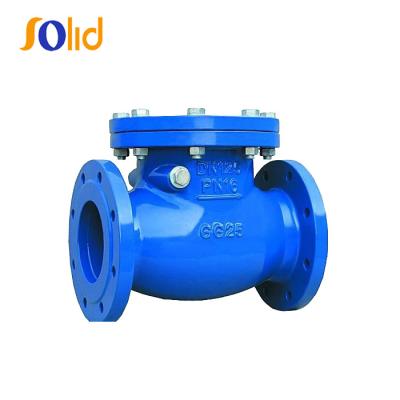 China Ductile cast iron double flanged swing check valve PN16 for water supply for sale