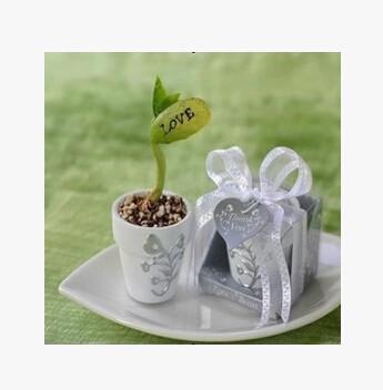 China Feijão criativo novo da planta do presente de casamento do produto do presente da promoção à venda