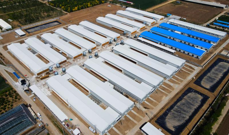Verified China supplier - Qingdao KXD Steel Structure Co., Ltd