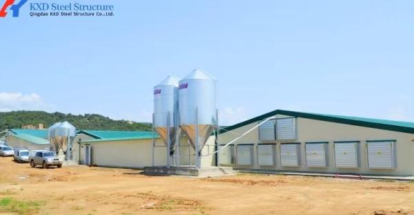 Quality Prefabricated Light Weight Steel Structure Chicken House Shed ISO9001 CE for sale