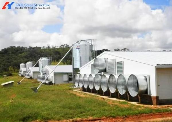 Quality Prefab Steel Structure Chicken Building Shed Broiler Fatten Poultry Farm House for sale