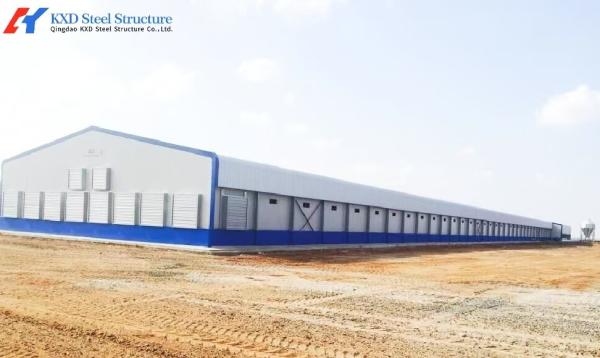 Quality Easy Clean Steel Poultry House Layer Hen House Steel Structure Chicken Broiler Shed for sale