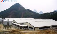 Quality Prefabricated Light Weight Steel Structure Chicken House Shed ISO9001 CE for sale