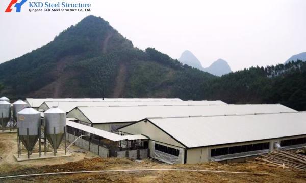 Quality Prefabricated Light Weight Steel Structure Chicken House Shed ISO9001 CE Certification for sale