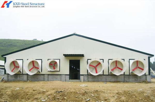 Quality Safe Automatic Poultry House Ventilation System For Broilers / Hens for sale