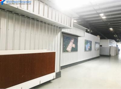 China Steel Structure Poultry Shed for Broilers and Layers for sale