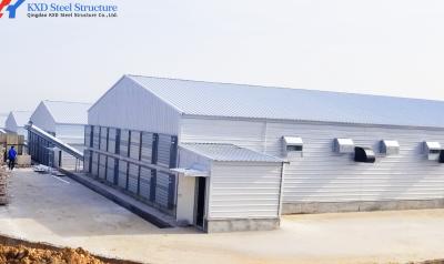 China Q235 Q345 Steel Structure Broiler Chicken House Customized For Efficient Meat Yield for sale