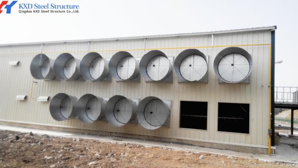 Quality Safe Automatic Poultry House Ventilation System For Broilers / Hens for sale