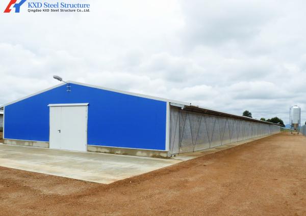 Quality H Section Steel Poultry House Chicken Farm House Building for sale