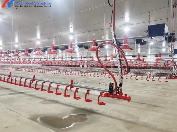 Quality KXD Poultry House Equipment Automatic Broiler Feeding System For Broilers / for sale