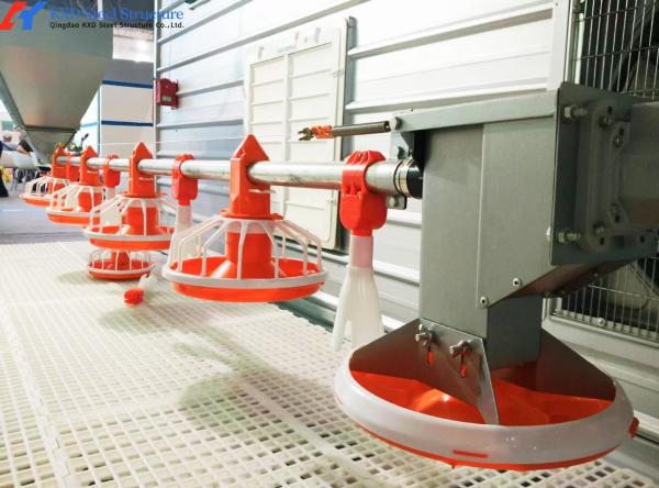 Quality KXD Poultry House Equipment Automatic Broiler Feeding System For Broilers / for sale