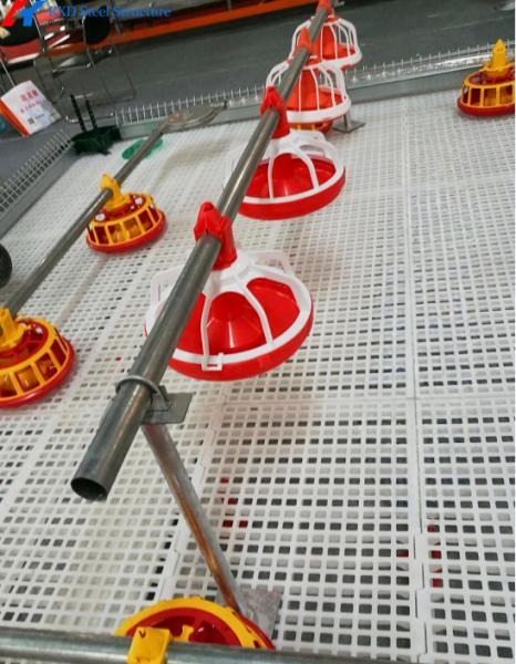 Quality KXD Poultry House Equipment Automatic Broiler Feeding System For Broilers / for sale