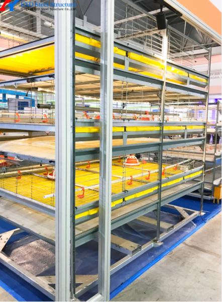 Quality A Type H Type Battery Cage Automatic Feeding System For Broiler Poultry Farming for sale