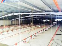Quality Automatic Broiler Poultry Equipment Plastic Poultry Farm Feeding System for sale