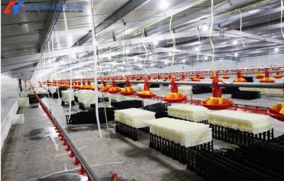 China Customized Broiler Chicken Feeding Equipment With Automatic Drinking / Feeding System for sale