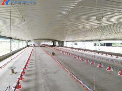 China Custom Broiler Poultry Equipment Automatic Broiler Feeding System for sale