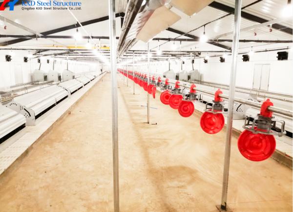 Quality Quick Fitting Automatic Feeding And Drinking System For Broiler Chicken Shed for sale