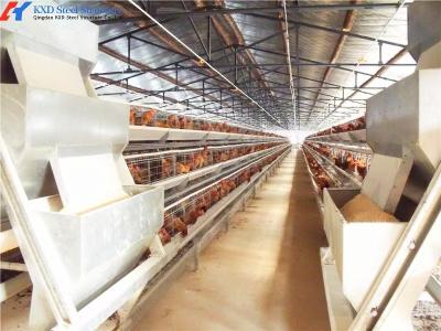 China A Type Battery Layer Cage Poultry Farming Cage System With Automatic Feeding Machine for sale