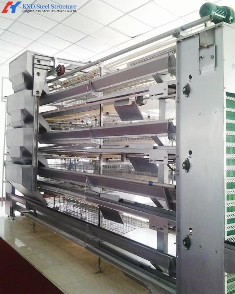 Quality Poultry Equipment Chicken Layer Cages A Type H Type Layer Cage Automatic for sale
