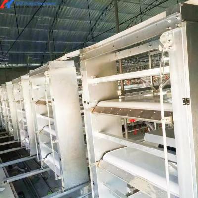 China Poultry Equipment Chicken Layer Cages A Type H Type Layer Cage Automatic for sale