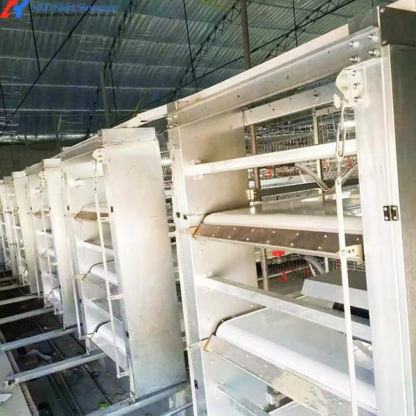 Quality Poultry Equipment Chicken Layer Cages A Type H Type Layer Cage Automatic for sale