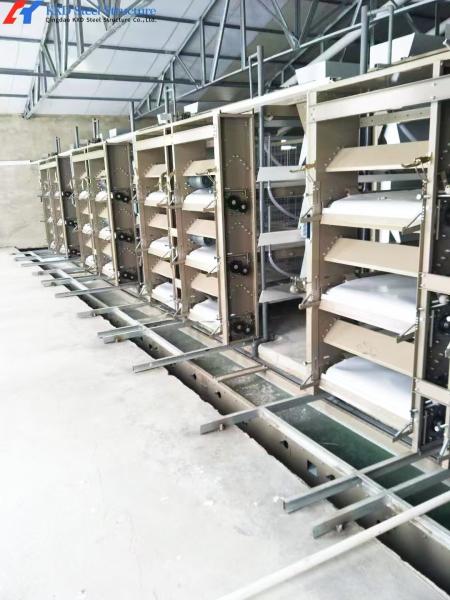 Quality 4 Tiers Layer Battery Cage Poultry Farming Battery Cage System for sale