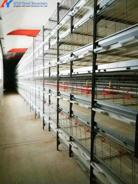 Quality Poultry Equipment Chicken Layer Cages A Type H Type Layer Cage Automatic for sale