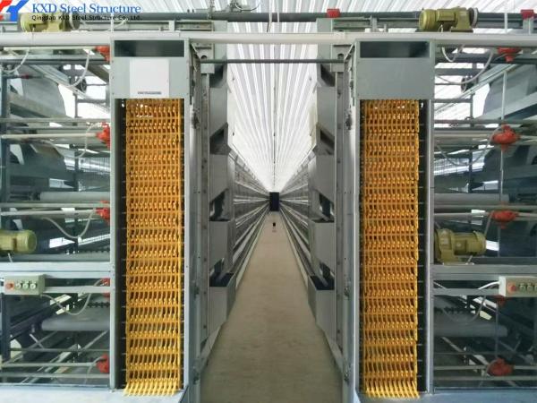 Quality Poultry Farm Equipment A Type Battery Broiler Chicken Cage For Small Farm for sale
