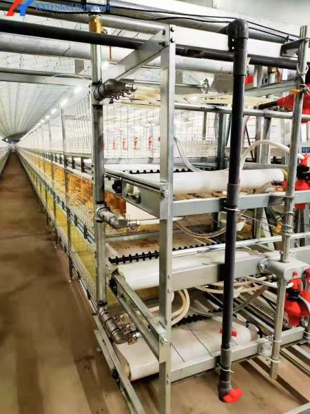 Quality 3 Tiers-10 Tiers Poultry Farm Cage Automatic Feeding Chicken House Cage for sale