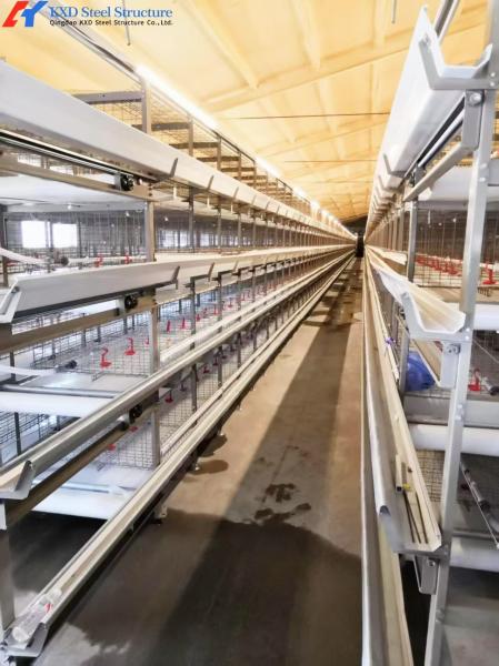 Quality 3 Tiers-10 Tiers Poultry Farm Cage Automatic Feeding Chicken House Cage for sale