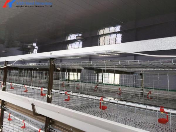 Quality 3 Tiers-10 Tiers Poultry Farm Cage Automatic Feeding Chicken House Cage for sale