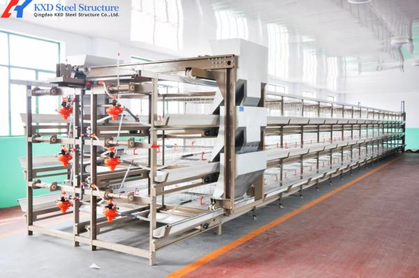 Quality 3 Tiers-10 Tiers Poultry Farm Cage Automatic Feeding Chicken House Cage for sale