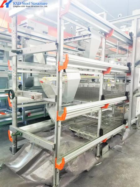 Quality Chicken Poultry Cage H Type Layer Chicken Cage Automatic Feeding System for sale