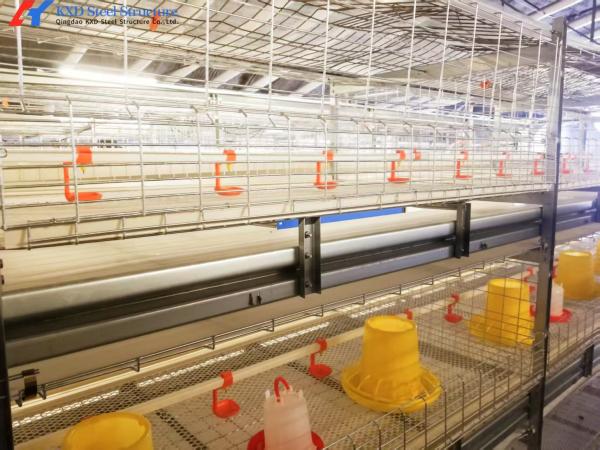 Quality Hot Dip Galvanized Steel Chicken Layer Cages With Automatic Equipment for sale