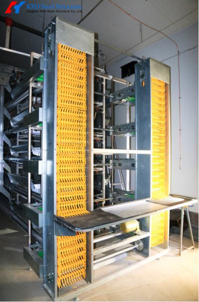Quality Hot Dip Galvanized Steel Chicken Layer Cages With Automatic Equipment for sale