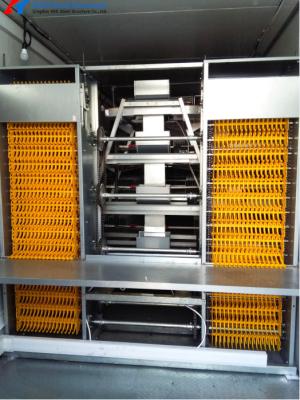 China Custom Automatic Chicken Egg Collection System For Layers Cage Feeding for sale