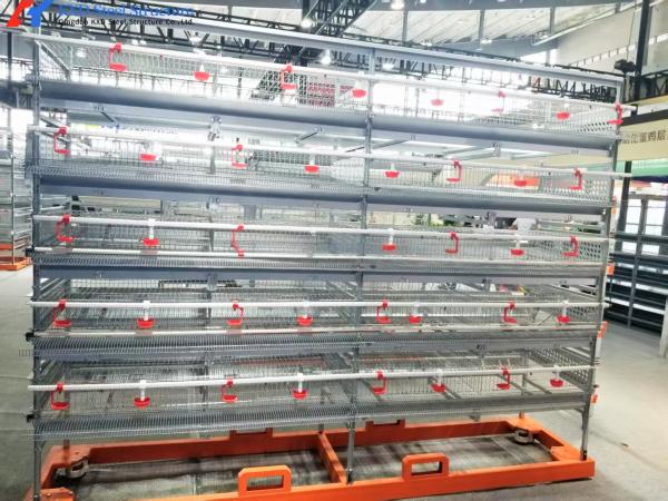 Quality Chicken Raising Equipment Galvanized Steel H Type Poultry Cage Equipment For for sale