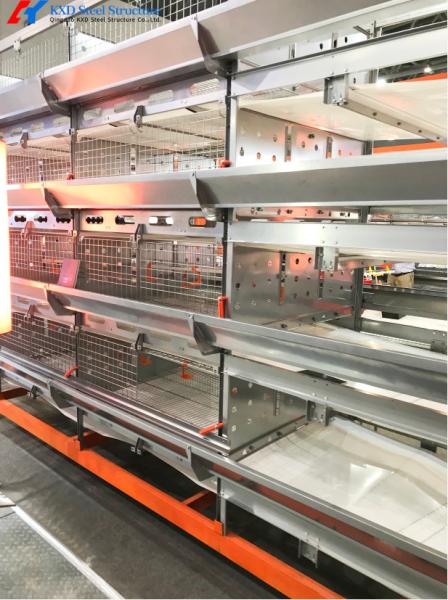 Quality Chicken Raising Equipment Galvanized Steel H Type Poultry Cage Equipment For for sale