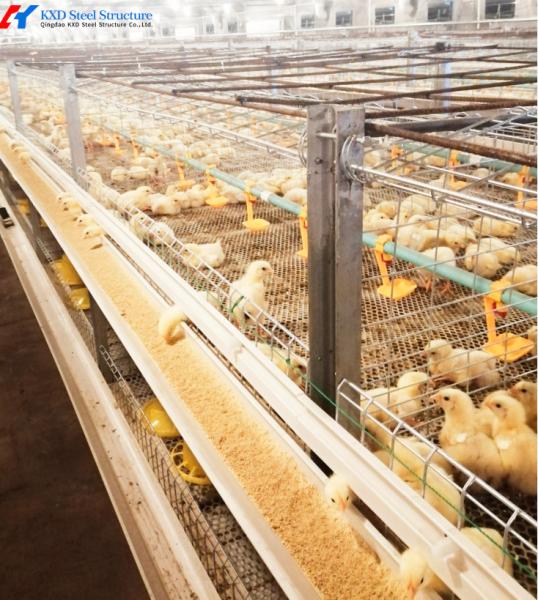 Quality Multifunctional Broiler Chicken Layer Battery Cage Automatic Poultry Farming Cage for sale