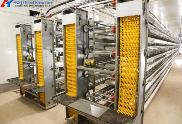 Quality Steel Chicken Layer Cages A Type H Type Automated Battery Cage for sale