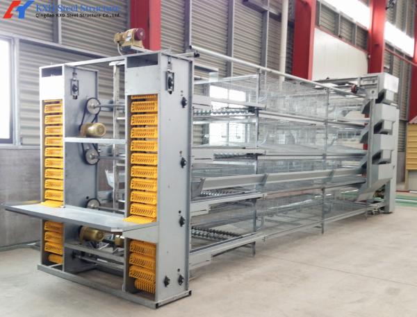 Quality 4 Tiers Broiler Chicken Battery Cage H Type Automated Battery Cage System for sale