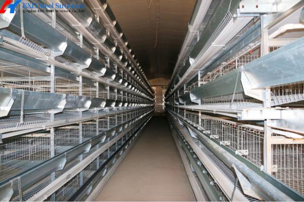 Quality 4 Tiers Broiler Chicken Battery Cage H Type Automated Battery Cage System for sale