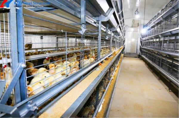 Quality 4 Tiers Broiler Chicken Battery Cage H Type Automated Battery Cage System for sale