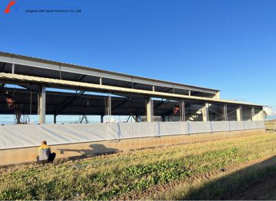 China Steel Structure Space Frame Piggery Shed , Cow House Shed Farm Building for sale