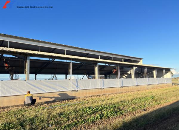 Quality Construction Prefab Steel Structure Piggery Farm House / Steel Structure Cow for sale