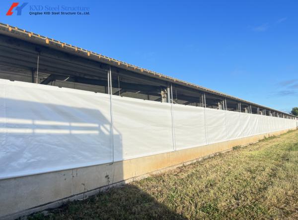 Quality Modern Steel Poultry Farm Shed Construction , Piggery House Steel Shed Buildings for sale