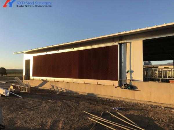 Quality Modern Steel Poultry Farm Shed Construction , Piggery House Steel Shed Buildings for sale