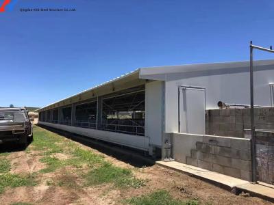 China Custom Piggery Shed Light Steel Structure Cow Shed With Automatic Euipment for sale