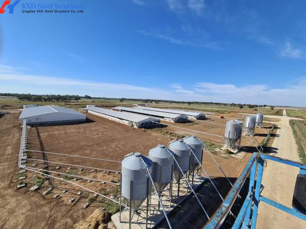 Quality KXD Prefabricated Piggery Shed Steel Structure Metal Goat Barn Onsite Installation for sale